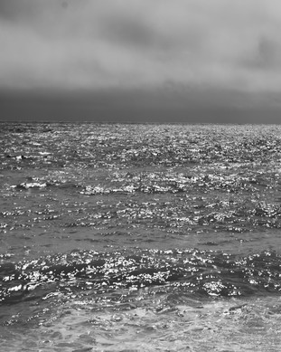 Donald Platt: 'Poem Beginning With a Sentence From My Last Will ...