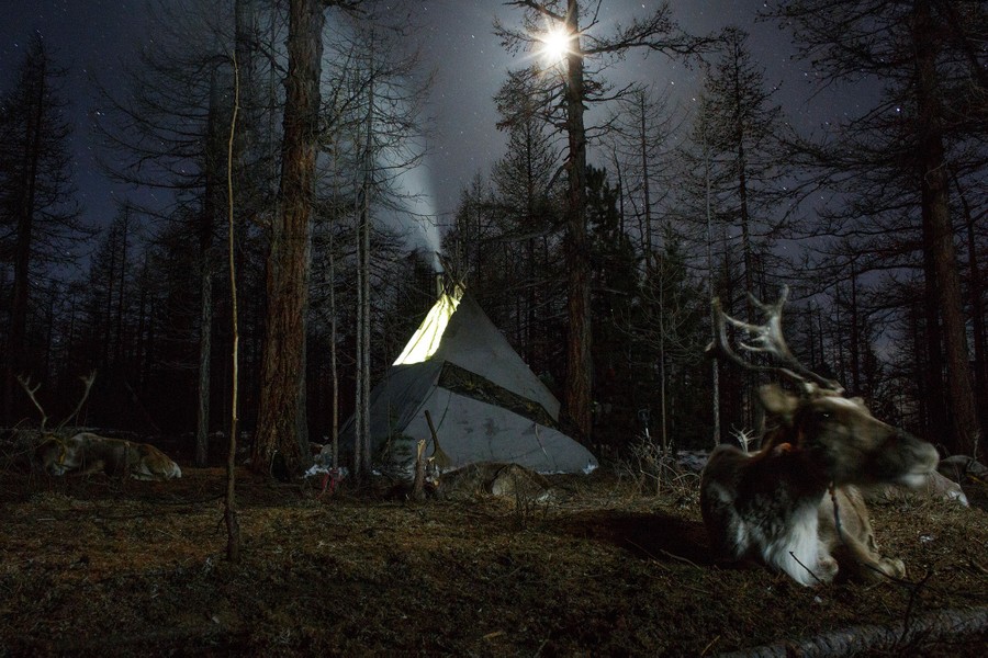 A Changing Way of Life for Mongolia’s Dukha Reindeer Herders - The Atlantic
