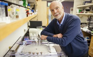 All Stories by Emily Singer - The Atlantic