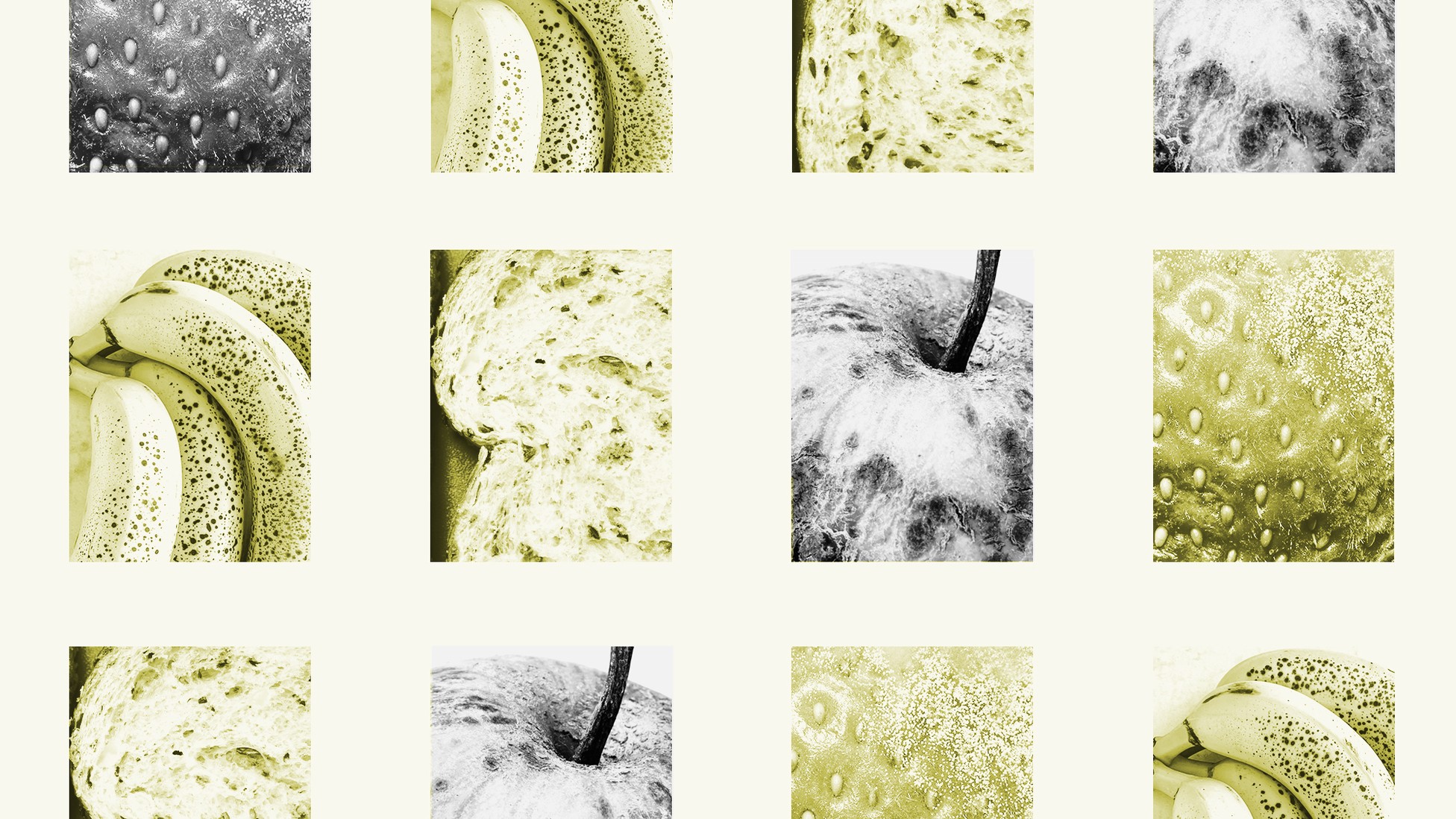 American Families Have a Massive Food-Waste Problem - The Atlantic