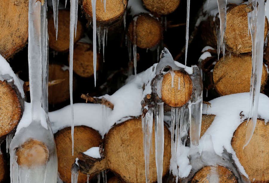 Photos of the Week: Transport Mishaps, Epiphany Blessings, Bull Taming ...