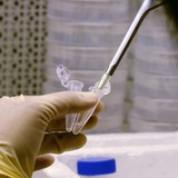 Sarah Elizabeth Richards, The Atlantic