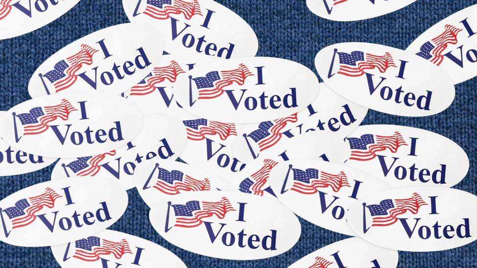 Americans Vote Too Much - The Atlantic