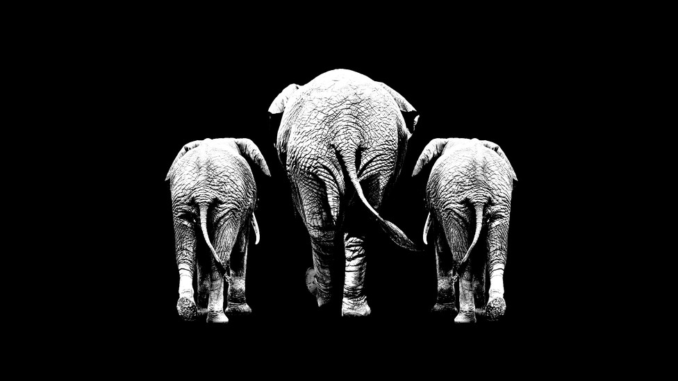 What Trump Can (And Probably Can’t) Do With His Trifecta - The Atlantic