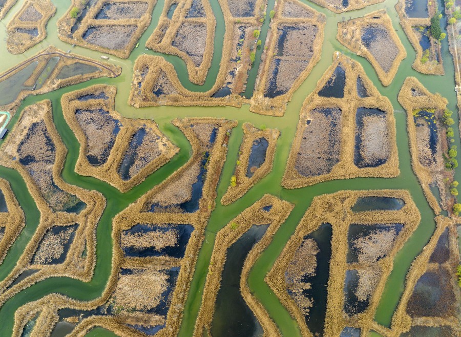 Photos of the Week: Marsh Maze, Volcanic Ash, Dying Star - The Atlantic