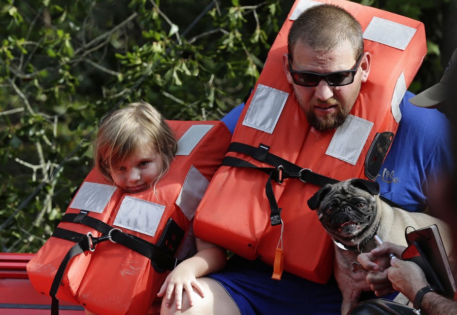 Hurricane Florence: Pet Rescues in Photos - The Atlantic