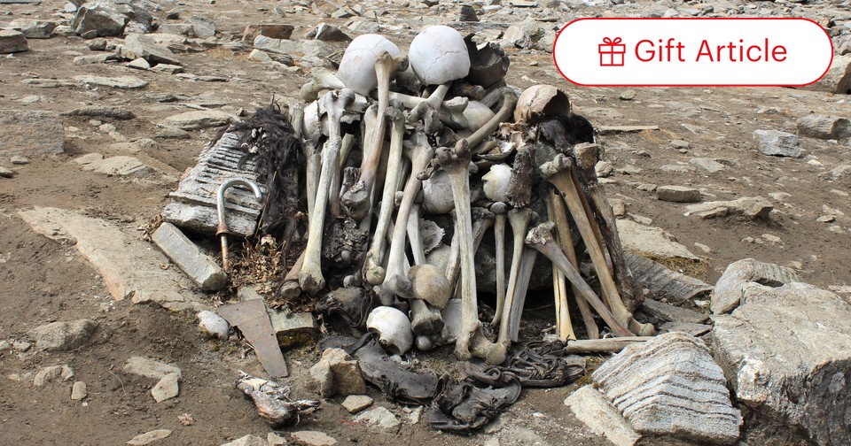 real human bones found