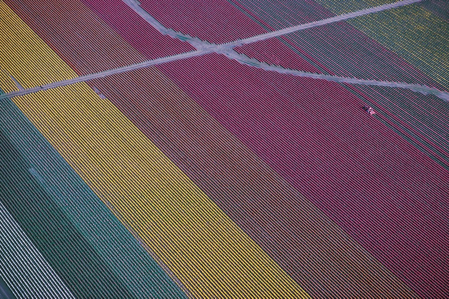 Washington: Images of the Evergreen State - The Atlantic