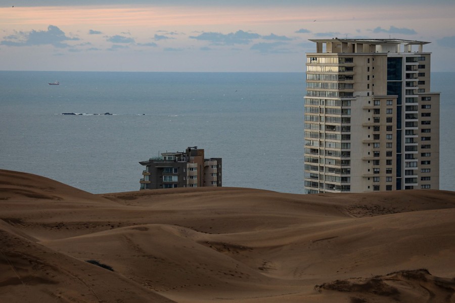 Photos of the Week: Gruffalo Maze, Panama Swing, Luminous Mane - The ...