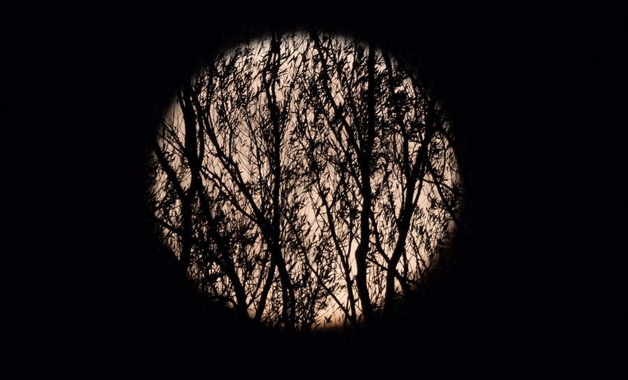 Fall Is in the Air: Images of the Season - The Atlantic