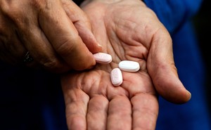 All Stories by Rachel Gutman-Wei - The Atlantic