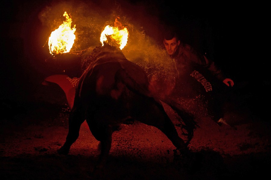 Toro de Jubilo, the Fire Bull Festival - The Atlantic