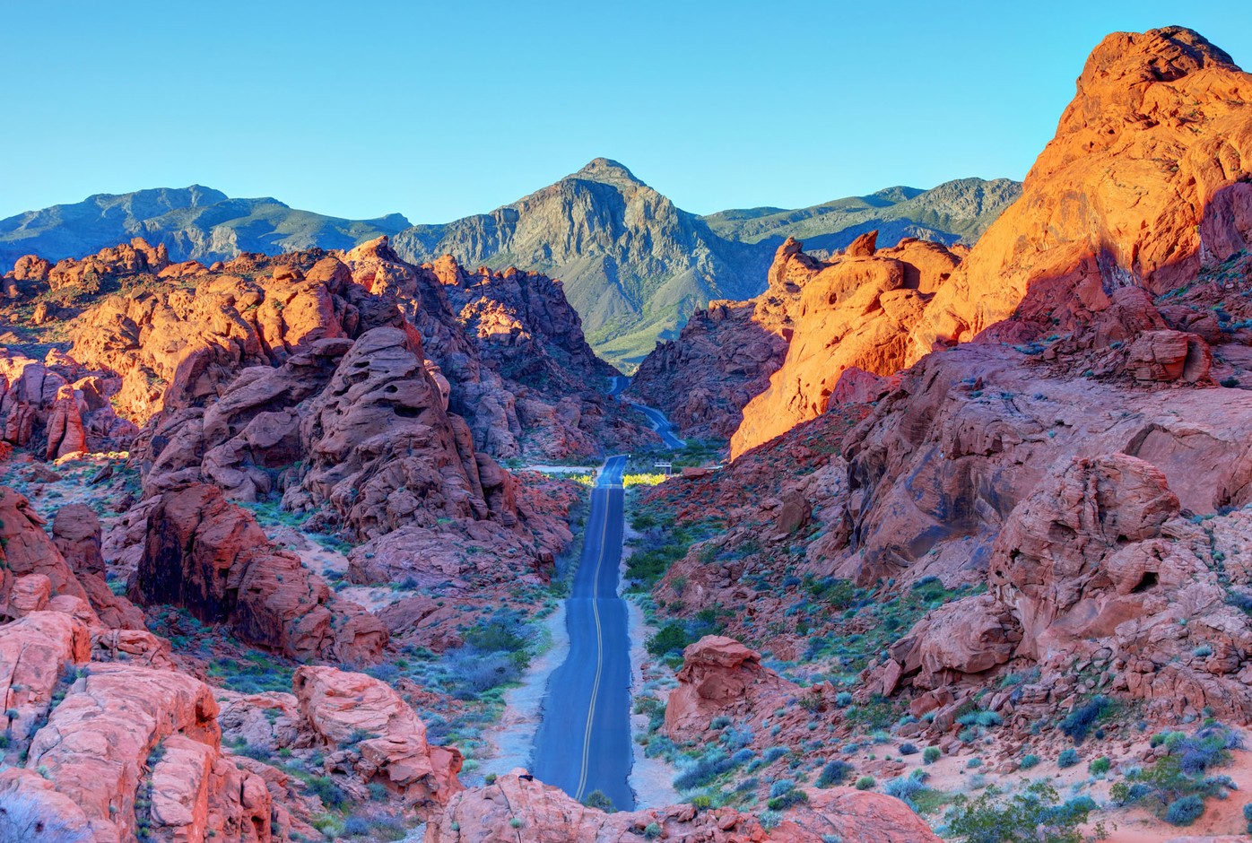 Fifty - The Atlantic