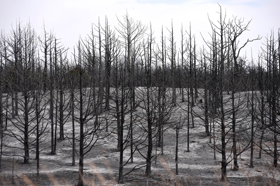 The Megafire Burning in Oklahoma - The Atlantic