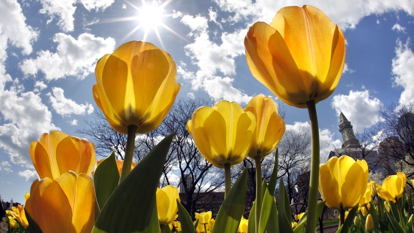 What Is Spring Like on Other Planets? - The Atlantic