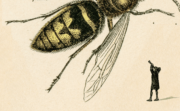 All Stories by Oliver Milman - The Atlantic