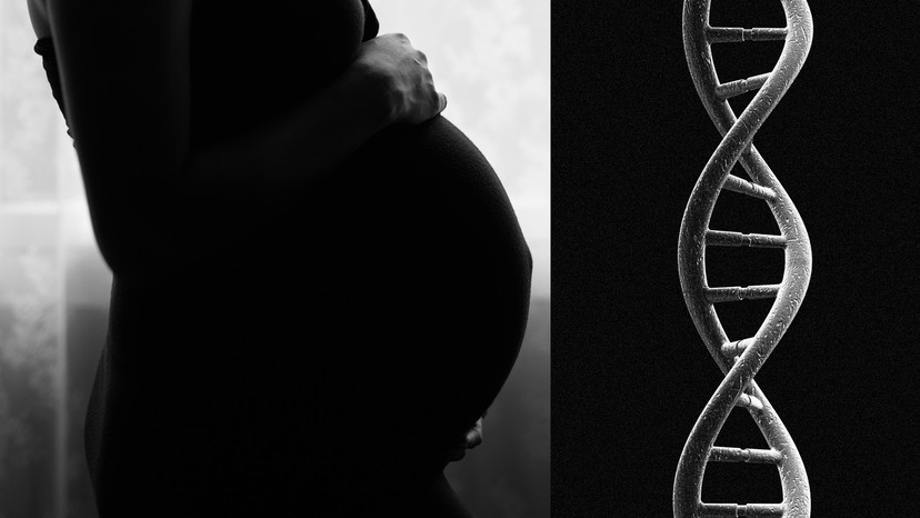 The Most Mysterious Cells in Our Bodies Don’t Belong to Us - The Atlantic