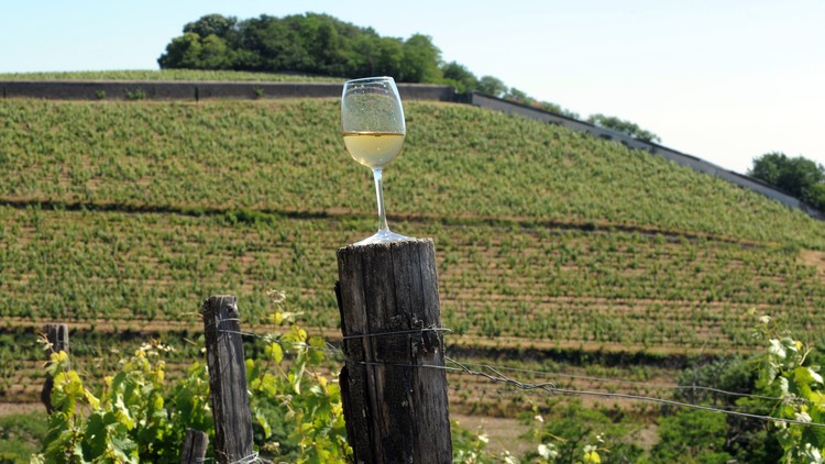 Wine and Exercise: A Promising Combination - The Atlantic