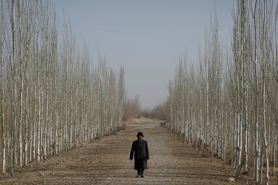 Scenes From Xinjiang - The Atlantic