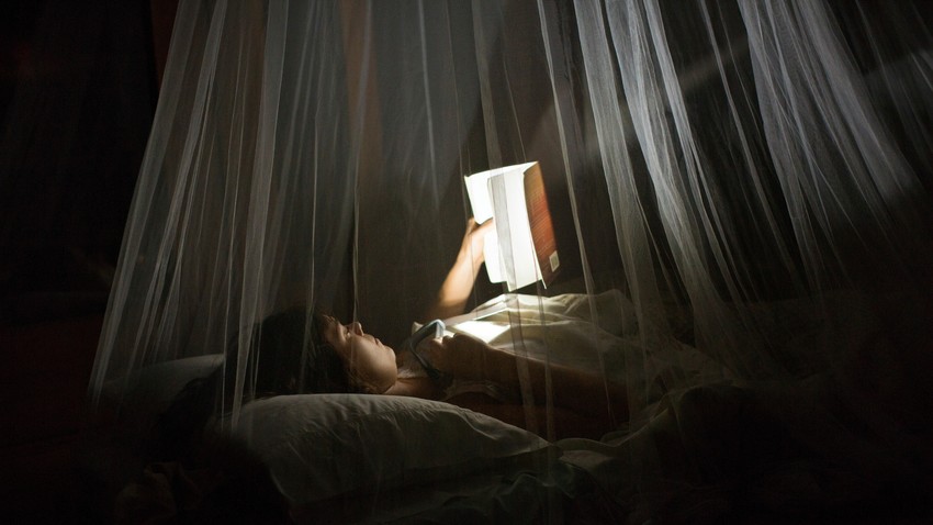 The Books Briefing: The Books That Keep Readers Awake at Night - The ...