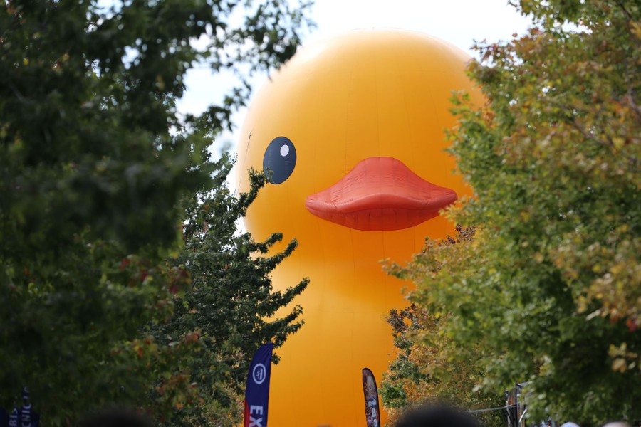 Photos of the Week: Giant Cabbage, Bottle Dancers, Dachshund Parade ...