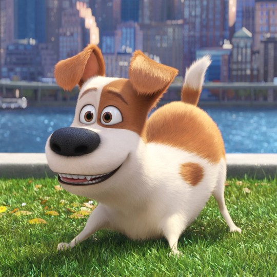 For the Love of Dogs The Secret Life of Pets Reviewed The Atlantic