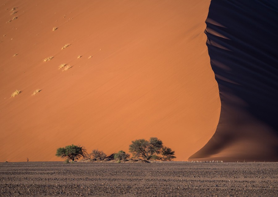 2015 National Geographic Photo Contest - The Atlantic