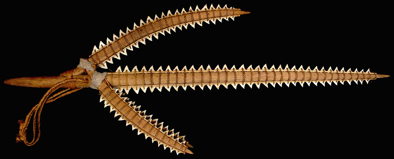 Natural-History Museums Are Teeming With Undiscovered Species - The ...