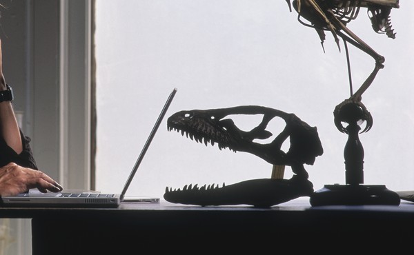 All Stories by David Sepkoski - The Atlantic