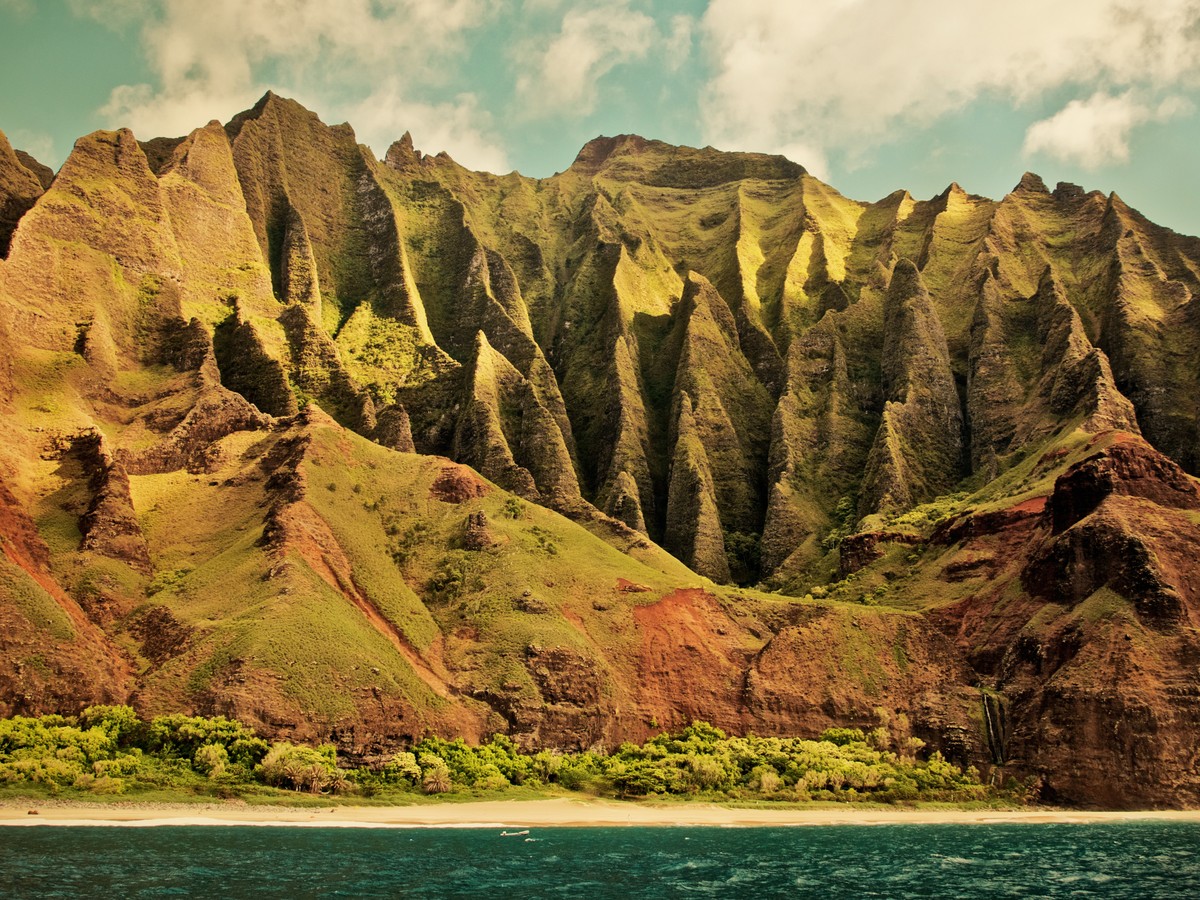 The Rock Evolution Meme Mountain