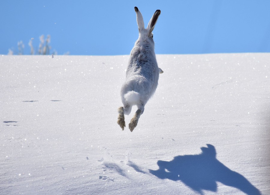 Wyoming: Images of the Equality State - The Atlantic