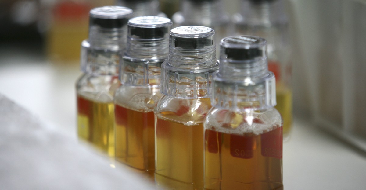 Brazil's Anti-Doping Lab Shut Down Ahead of Olympics - The Atlantic