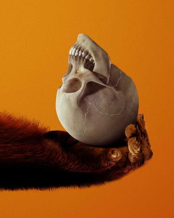 What’s So Bad About Asking Where Humans Came From? - The Atlantic