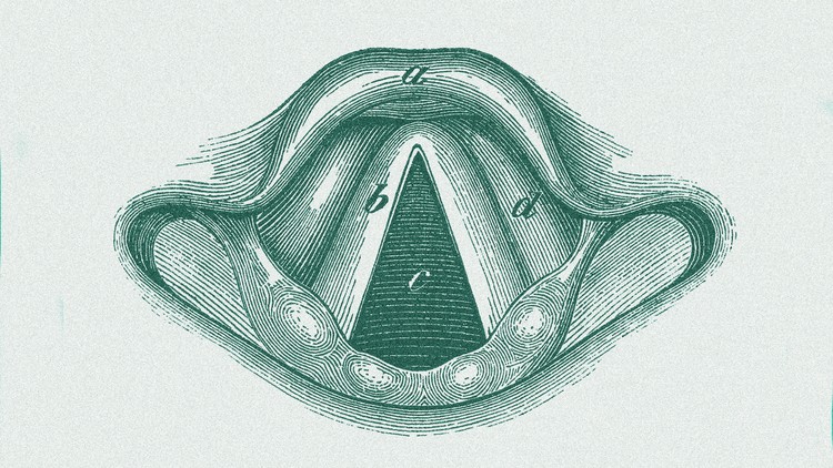 When Did Ancient Humans Start to Speak? - The Atlantic