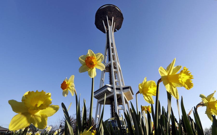 April Blooms: Spring is On the Way - The Atlantic