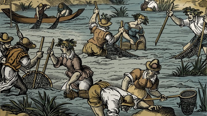 Medieval Overfishing Transformed Europe's Fisheries - The Atlantic
