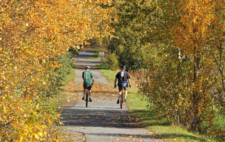 Fall Is in the Air - The Atlantic