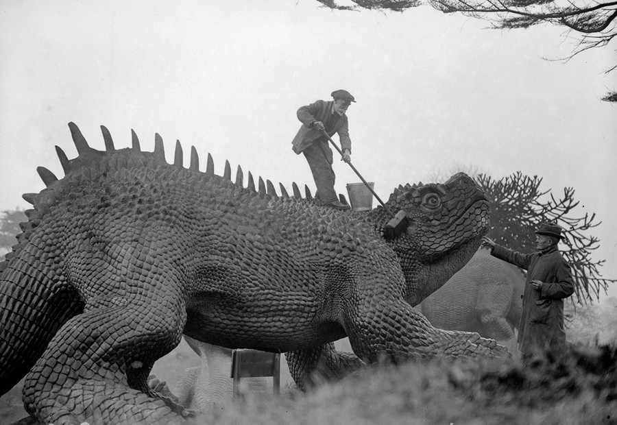 Weird, Wonderful Photos From Another Era - The Atlantic