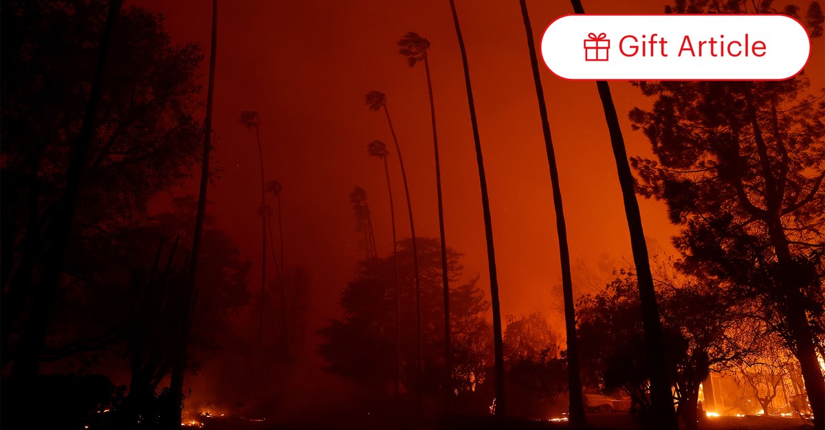 burning trees called