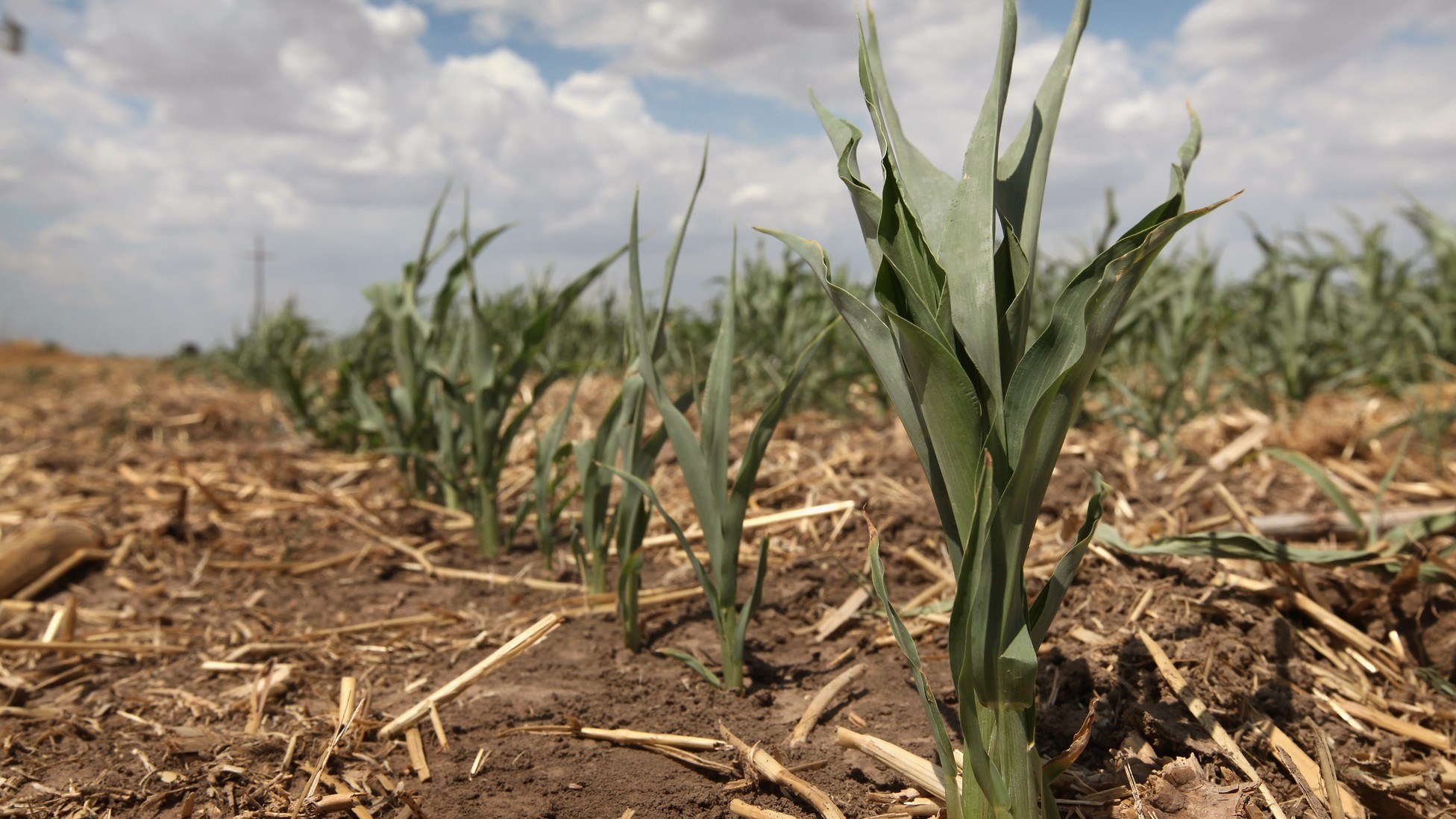 Climate Change Linked to Food Scarcity - The Atlantic