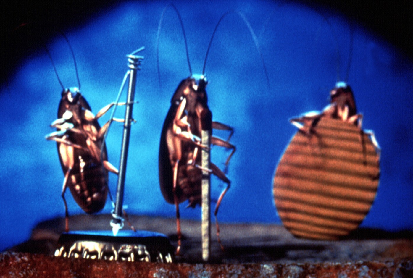 Invisible Forces - The Atlantic