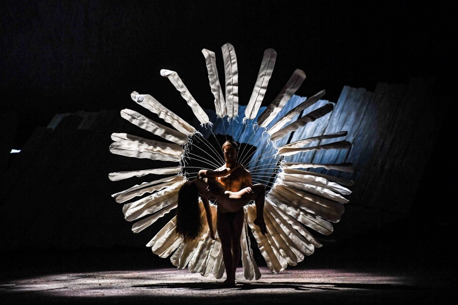 Photos of the Week: Snowy Ladybug, Shattered Lance, Mexican Smog - The ...