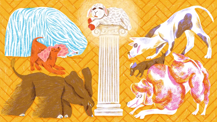 Why Are Dogs So Obsessed With Lamb Chop? - The Atlantic