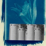 Nicholas Bagley, The Atlantic