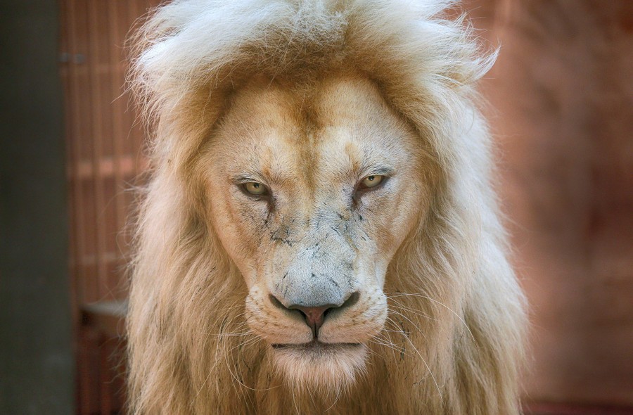 Photos of the Week: 8/6-8/12 - The Atlantic