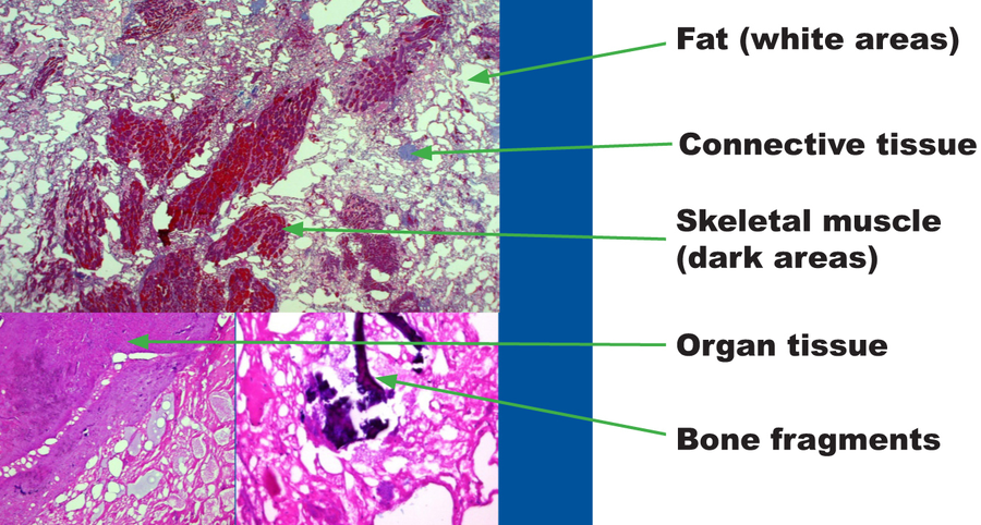 chicken mcnuggets under microscope