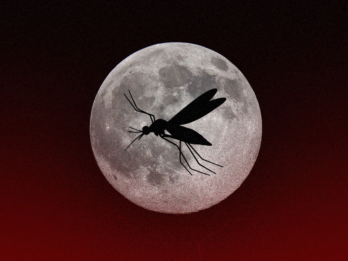 vampire creatures crossword