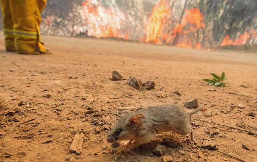 Photos of the Week: 9/24-9/30 - The Atlantic