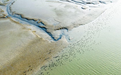 Science - The Atlantic