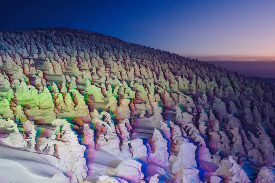 Juhyo: The Snow Monsters on Japan’s Mount Zao - The Atlantic